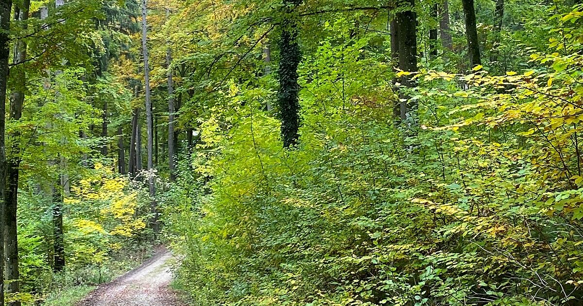 Der Kreislauf des Lebens | Gerda Schneider
